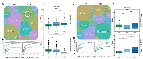 Publication in Science Advances